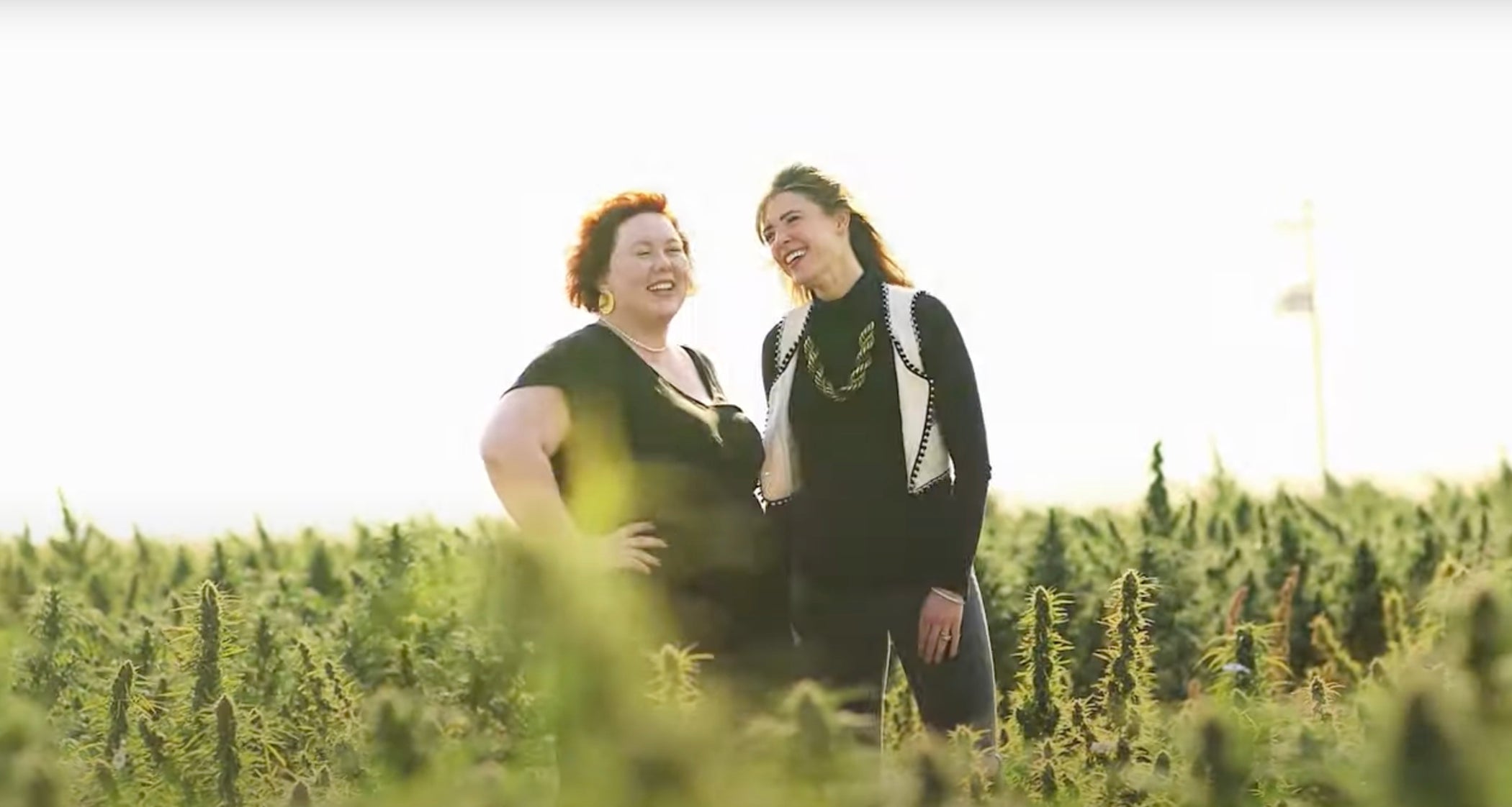 About – Equilibria